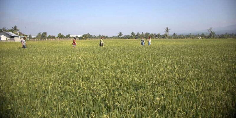 Countryside Bike Ride to Golong Village and Lingsar Temple - FAQ