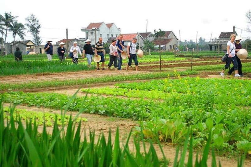 Countryside Biking -Farming -Market -Cooking Class In Hoi An - Who Should Consider This Tour?