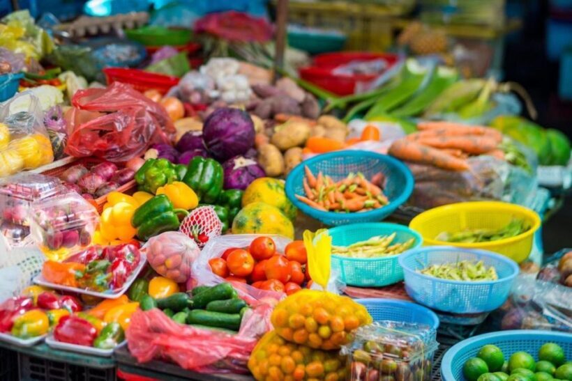 Countryside Biking -Farming -Market -Cooking Class In Hoi An - Authenticity and Value