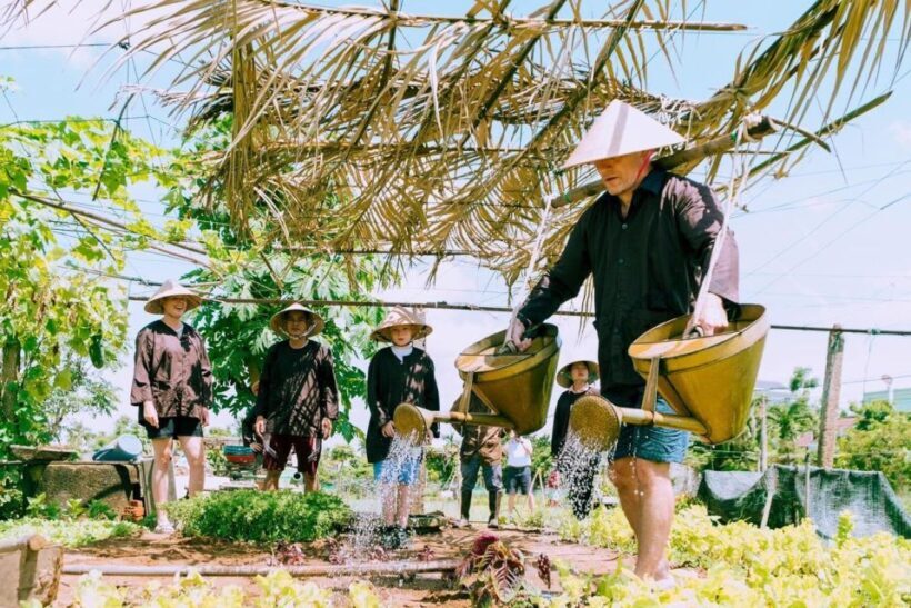 Countryside Biking -Farming -Market -Cooking Class In Hoi An - Who Should Consider This Tour?