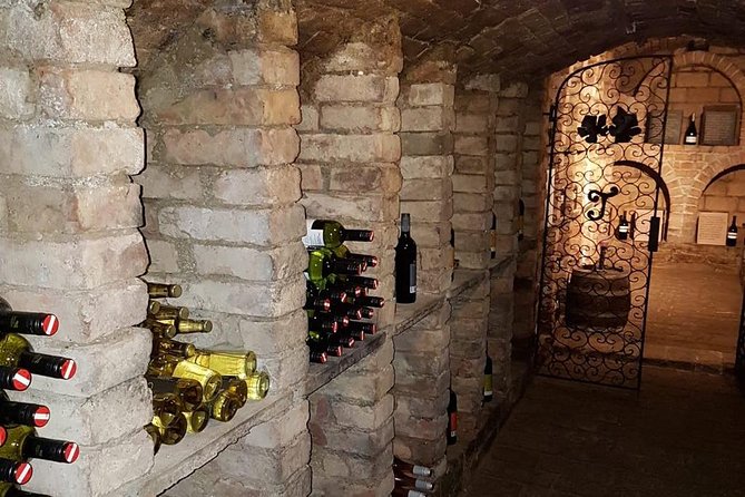 Countryside Half Day Wine Tour near Vienna - An In-Depth Look at the Tour Experience