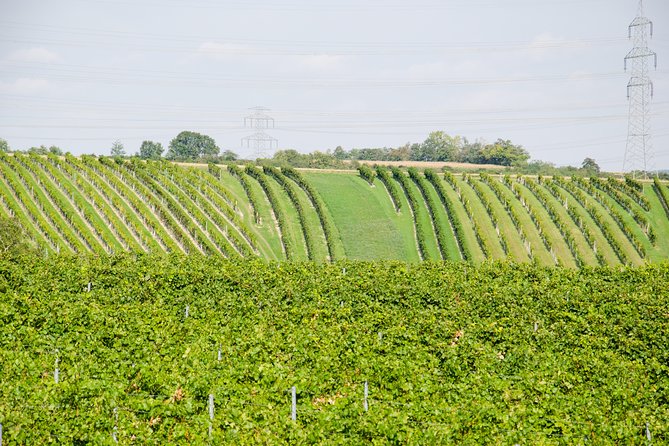 Countryside Half Day Wine Tour near Vienna - Frequently Asked Questions