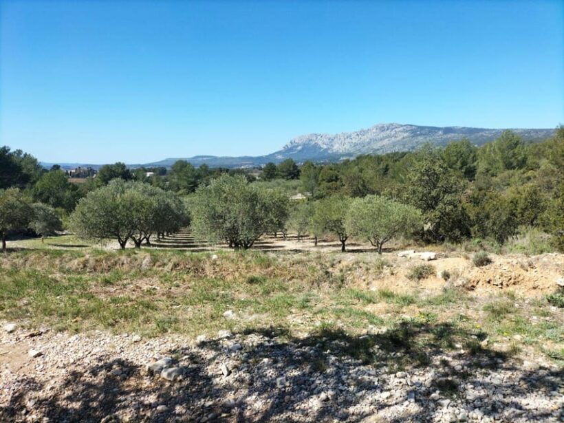 Countryside Immersion with Horseback Ride in Sainte Victoire - Final Thoughts