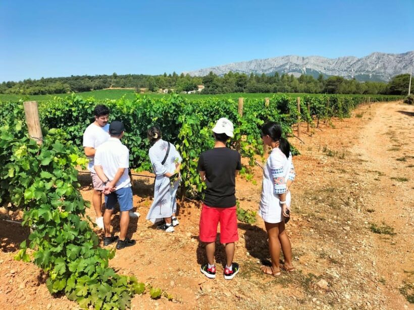 Countryside Immersion with Horseback Ride in Sainte Victoire - FAQs