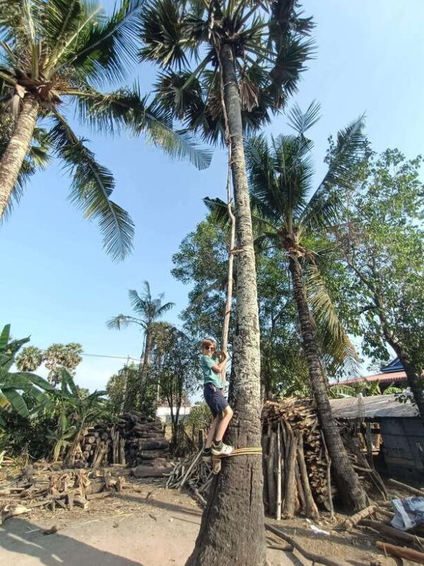 Countryside include Pepper farm, Cave, Salt field & lake... - Key Points