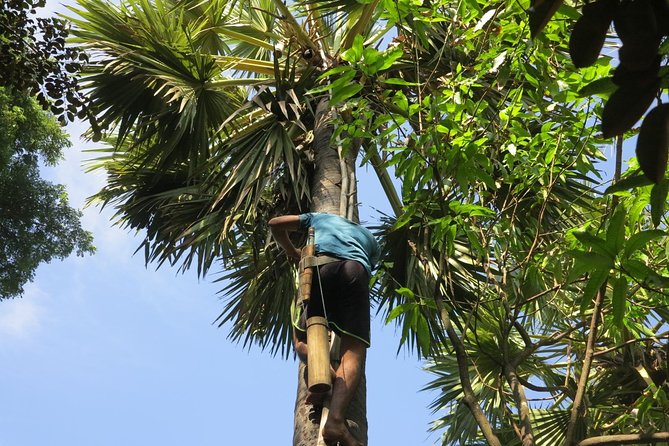 Countryside Morning Life Vespa Tour - FAQs