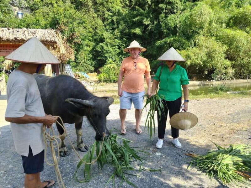 Countryside Motorbike Tour in Ninh Binh/ Pick up Ninh Binh - FAQ
