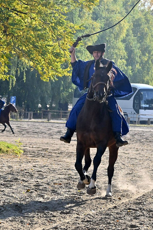 Countryside ranch, horse show & lunch - Who Will Love This Tour?