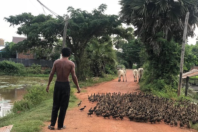 Countryside Sunset Jeep Tour - The Rice Fields and Sunset Experience