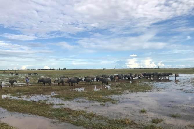 Countryside Sunset Jeep Tour - Comfort and Practical Details