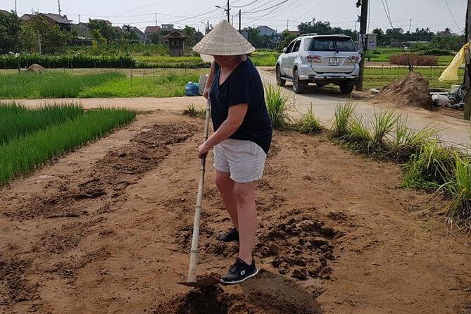 Countryside Tour of Hoi An, Basket Boat, Buffalo ride, Farming with local Farmer - Key Points