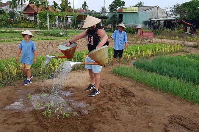 Countryside Tour of Hoi An, Basket Boat, Buffalo ride, Farming with local Farmer - The Sum Up