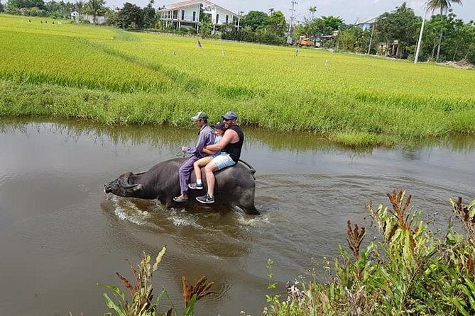 Countryside Tour of Hoi An, Basket Boat, Buffalo ride, Farming with local Farmer - FAQs