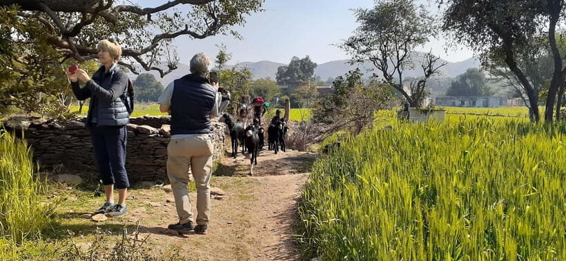 Countryside village life guided Tour in Tuk Tuk - FAQ