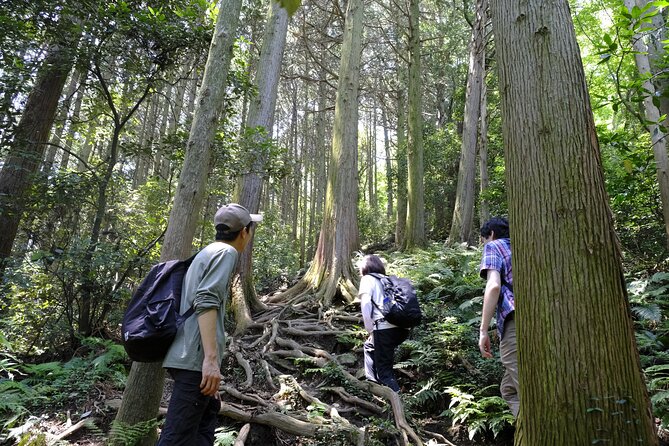 Countryside Walking & Mountain Hiking in Organic Town Near Tokyo - Practical Information for Your Visit