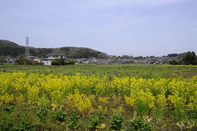 Countryside Walking & Mountain Hiking in Organic Town Near Tokyo - Common Questions