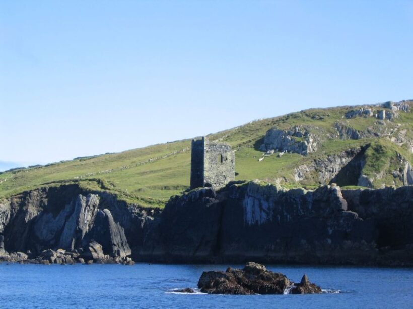County Cork: Whale & Dolphin Watching Boat Trip - A Closer Look at the Experience