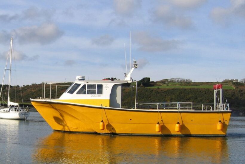County Cork: Whale & Dolphin Watching Boat Trip - Final Thoughts