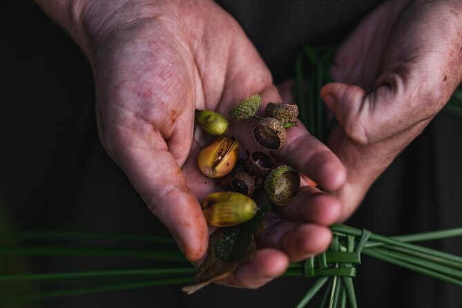Courtown Woodland Guided Tour - Experiencing Tree Communication and Local Traditions