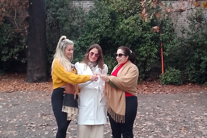 Cousiño Macul Vineyard - Maipo Valley - Premium Tasting - HD - Culinary Offerings