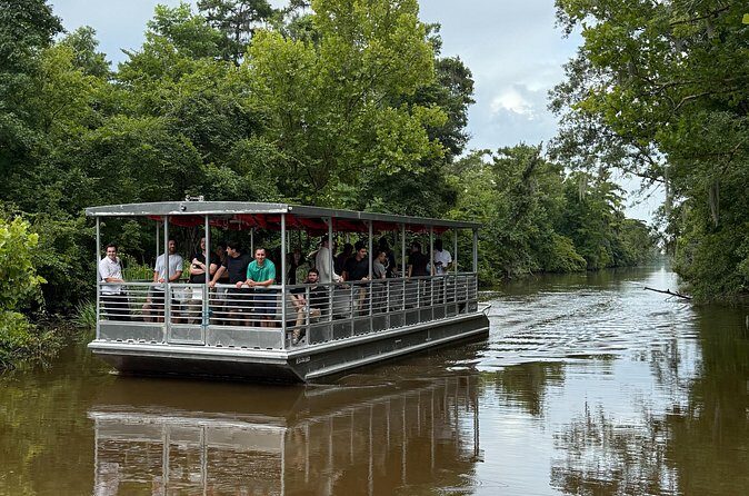 Covered Boat Swamp Tour with Transportation from New Orleans - Price and Value: Is It Worth It?