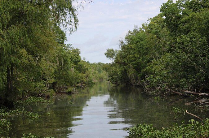 Covered Boat Swamp Tour with Transportation from New Orleans - Practical Tips for Travelers