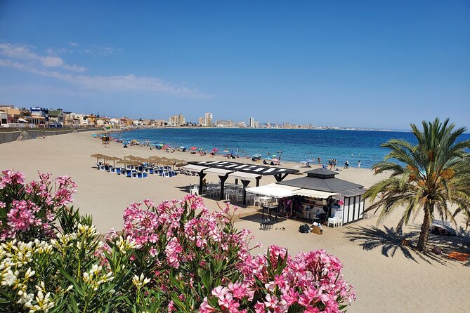 Coves & Beaches Private Shore Excursion - What Travelers Say: Authentic Experiences and Top Highlights