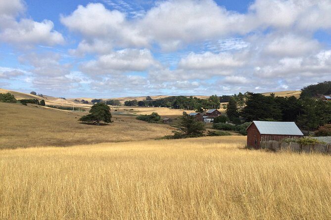 Cow Heaven: A Self-Guided Driving Tour from Point Reyes Seashore to Tomales - The Value and Practicalities