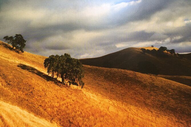 Cow Heaven: A Self-Guided Driving Tour from Point Reyes Seashore to Tomales - Authenticity and Local Flavor