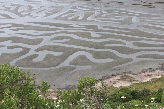 Cow Heaven: A Self-Guided Driving Tour from Point Reyes Seashore to Tomales - Final Thoughts: Who Will Love This Tour?