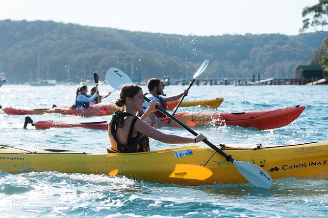 Cowan Creek Lunch paddle with Aboriginal rock art - Authenticity and Experience Insights