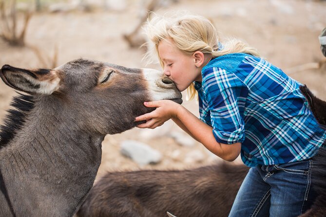 Cowpoke Ride: Adventurous Horseback Tour Just 9 MILES From Sedona - Positive Customer Feedback and Testimonials