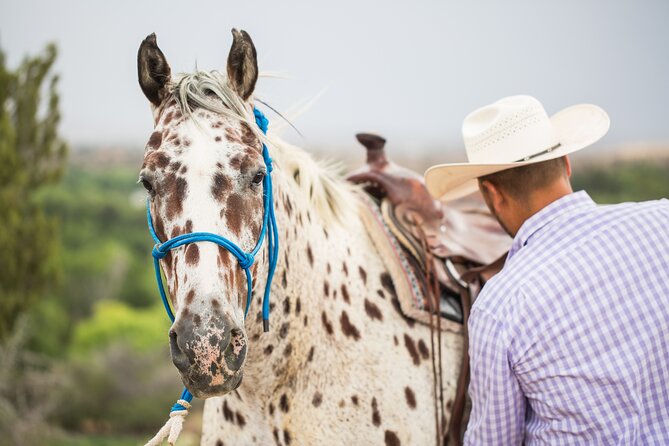 Cowpoke Ride: Adventurous Horseback Tour Just 9 MILES From Sedona - Why Choose the Cowpoke Ride Adventure