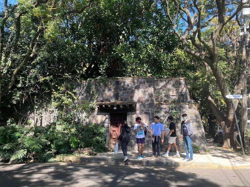 COYOACAN: FRIDA KAHLO STEPS IN COYOACAN AND SAN ANGEL CDMX - Key Points