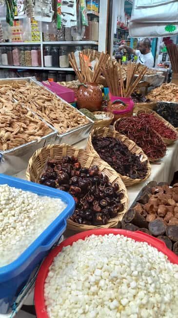 Coyoacan, history and life in a magical neighborhood - Exploring Coyoacan: A Walk Through Mexico City’s Enchanting Neighborhood