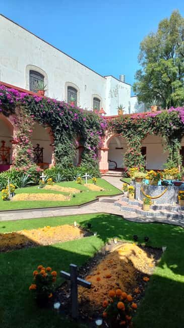 Coyoacan, history and life in a magical neighborhood - Key Points
