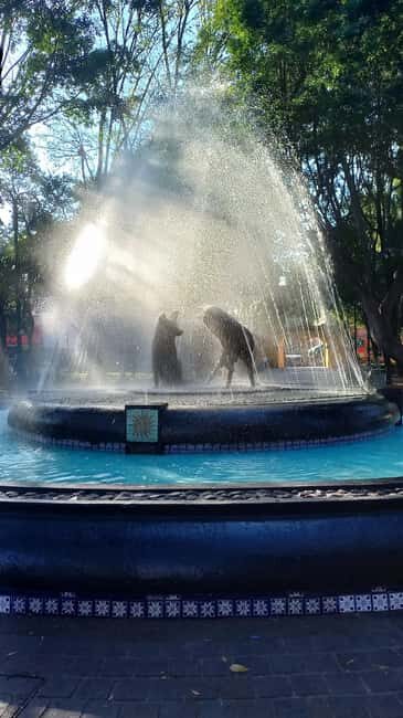 Coyoacan, history and life in a magical neighborhood - What to Expect: Practical Details
