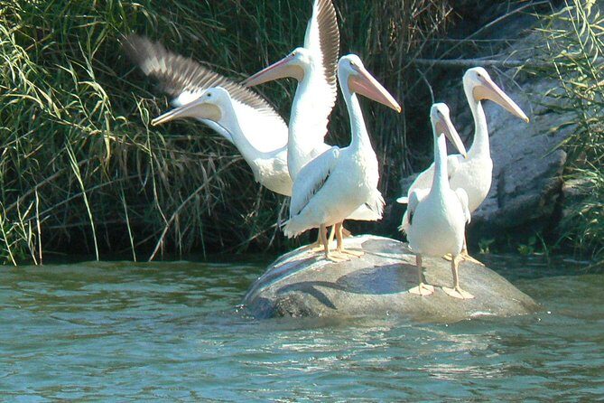 Coyuca Lagoon From Acapulco - Key Points