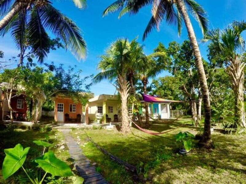 Cozumel: 6 Days Yoga, Sound Healing, and Dive Retreat - Analyzing the Value