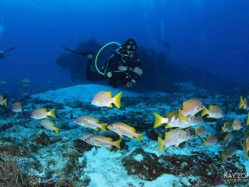 Cozumel: 6 Days Yoga, Sound Healing, and Dive Retreat - FAQ