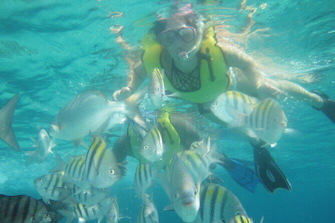 Cozumel Beach + Snorkeling Time - The Itinerary: What You Can Expect
