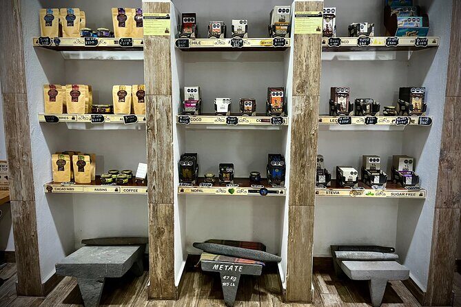 Cozumel: Bee Farm + Honey & Chocolate Tasting + Sightseeing - Who Will Love This Experience?