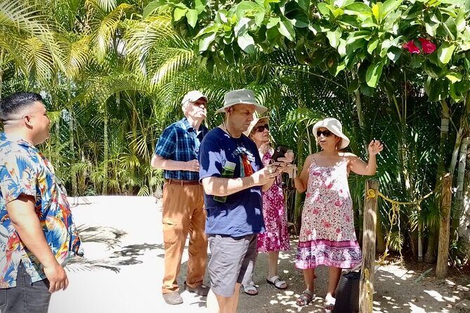 Cozumel: Bee Farm + Honey & Chocolate Tasting + Sightseeing - Frequently Asked Questions