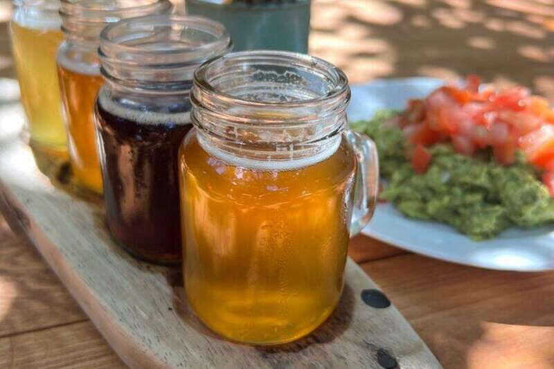 Cozumel: Beer, Mezcal, and Taco Experience - Discovering Cozumel’s Beer, Mezcal, and Taco Experience: A Practical Guide