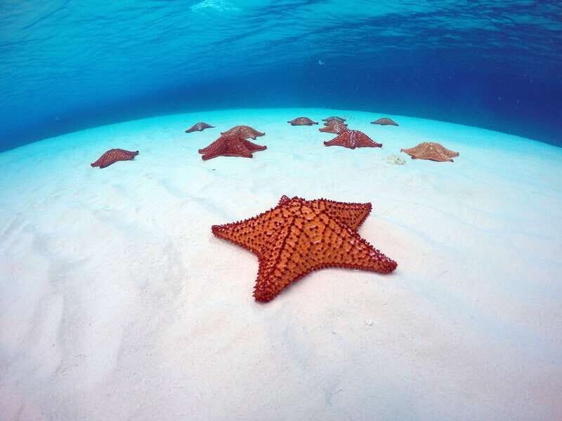 Cozumel: Catamaran, El Cielo Bay & Palancar Reef with Lunch - What to Expect from the Start