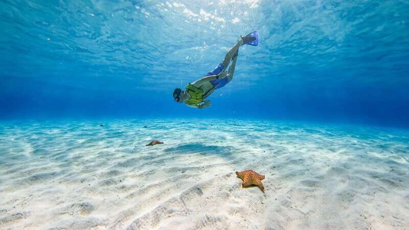 Cozumel: Catamaran, El Cielo Bay & Palancar Reef with Lunch - Snorkeling at Palancar Reef