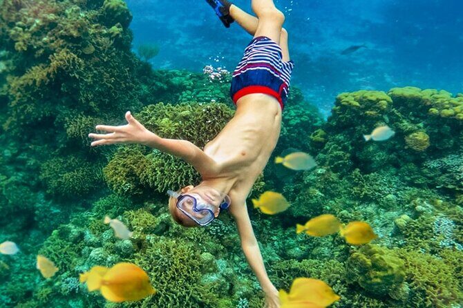 Cozumel Catamaran Experience with Snorkeling & Beach Club - The Practical Side: What You Need to Know