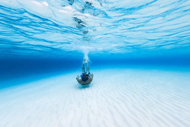 Cozumel Catamaran Snorkeling Tour & lunch® - A Deep Dive into the Experience