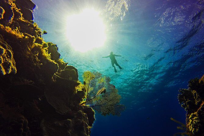 Cozumel Catamaran Snorkeling Tour & Lunch (Hotel Pick Up) - Who Should Consider This Tour
