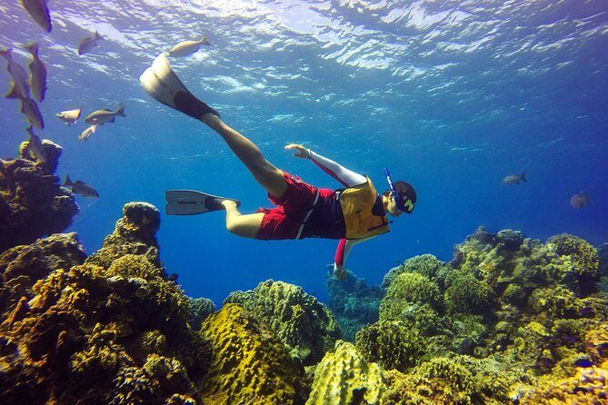 Cozumel Catamaran Snorkeling Tour & Lunch (Hotel Pick Up) - FAQs